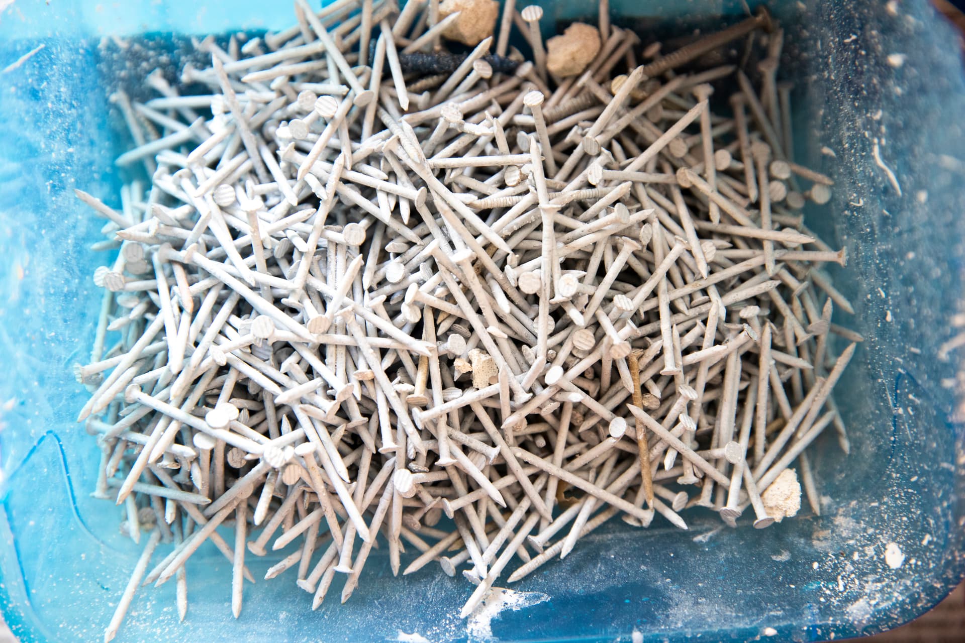 Habitat for Humanity of Georgia